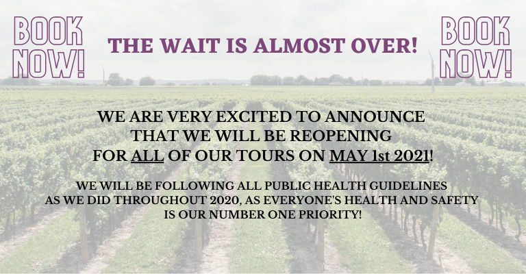 Home - Grape Escape Wine Tours in Niagara on the Lake