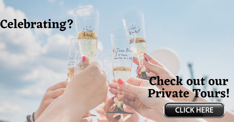 Home - Grape Escape Wine Tours in Niagara on the Lake